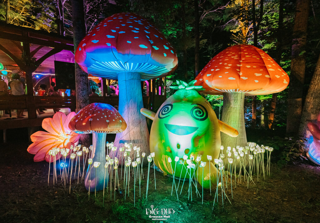 Big Dub Festival Brings The Bass Back To PA Mountains - Moon Lvnding